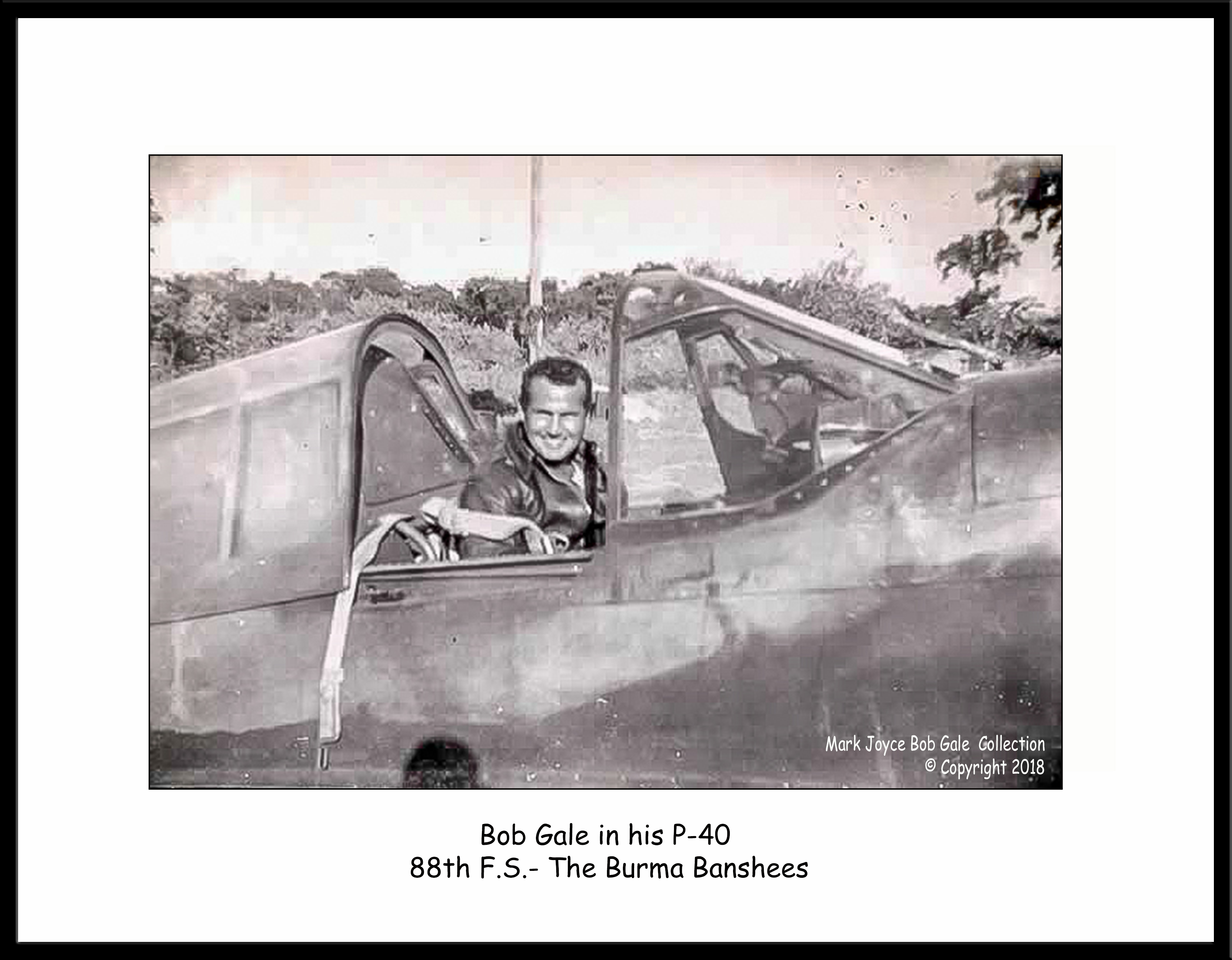 Bob Gale - Burma Banshees
