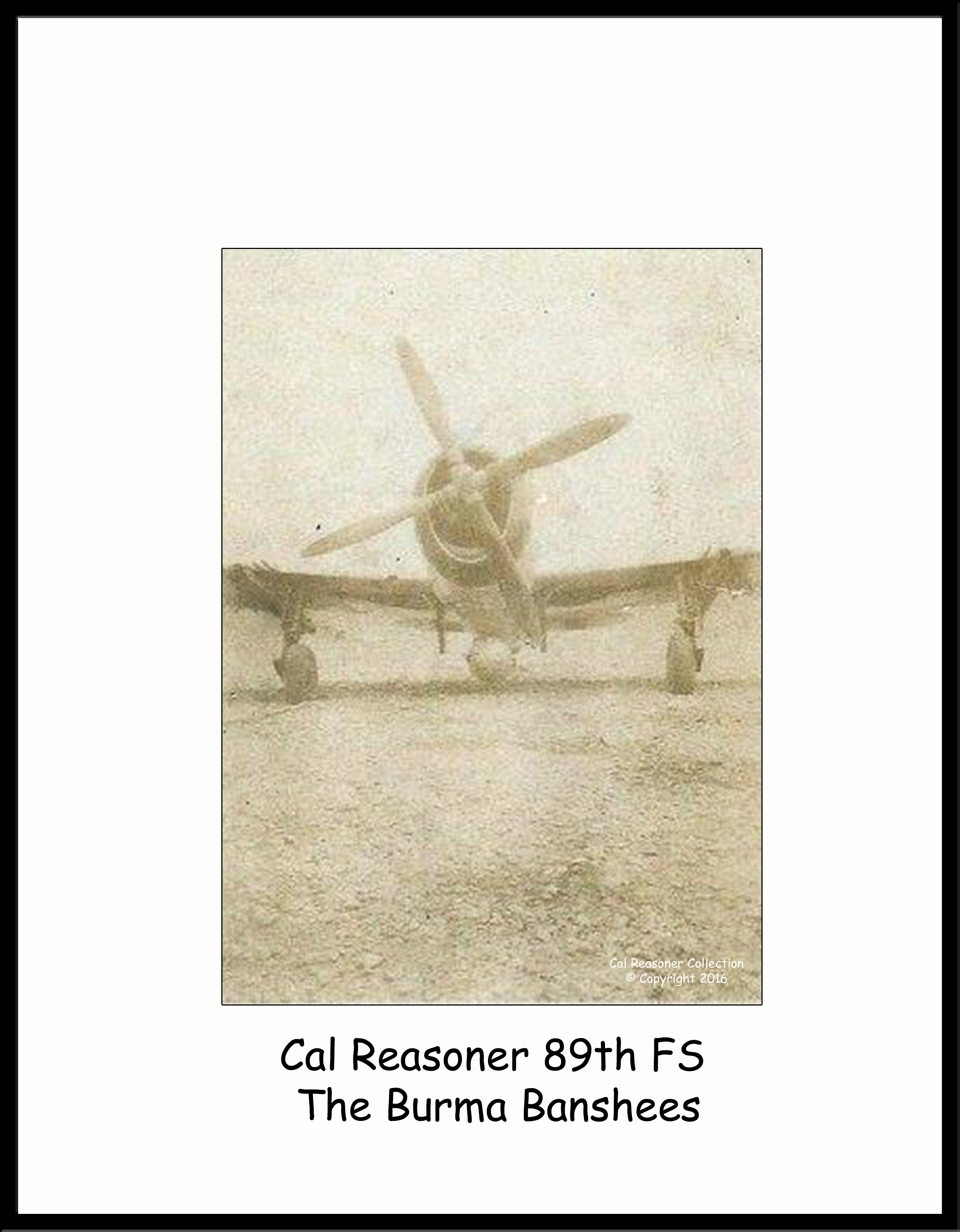 Calvin Reasoner - Burma Banshees