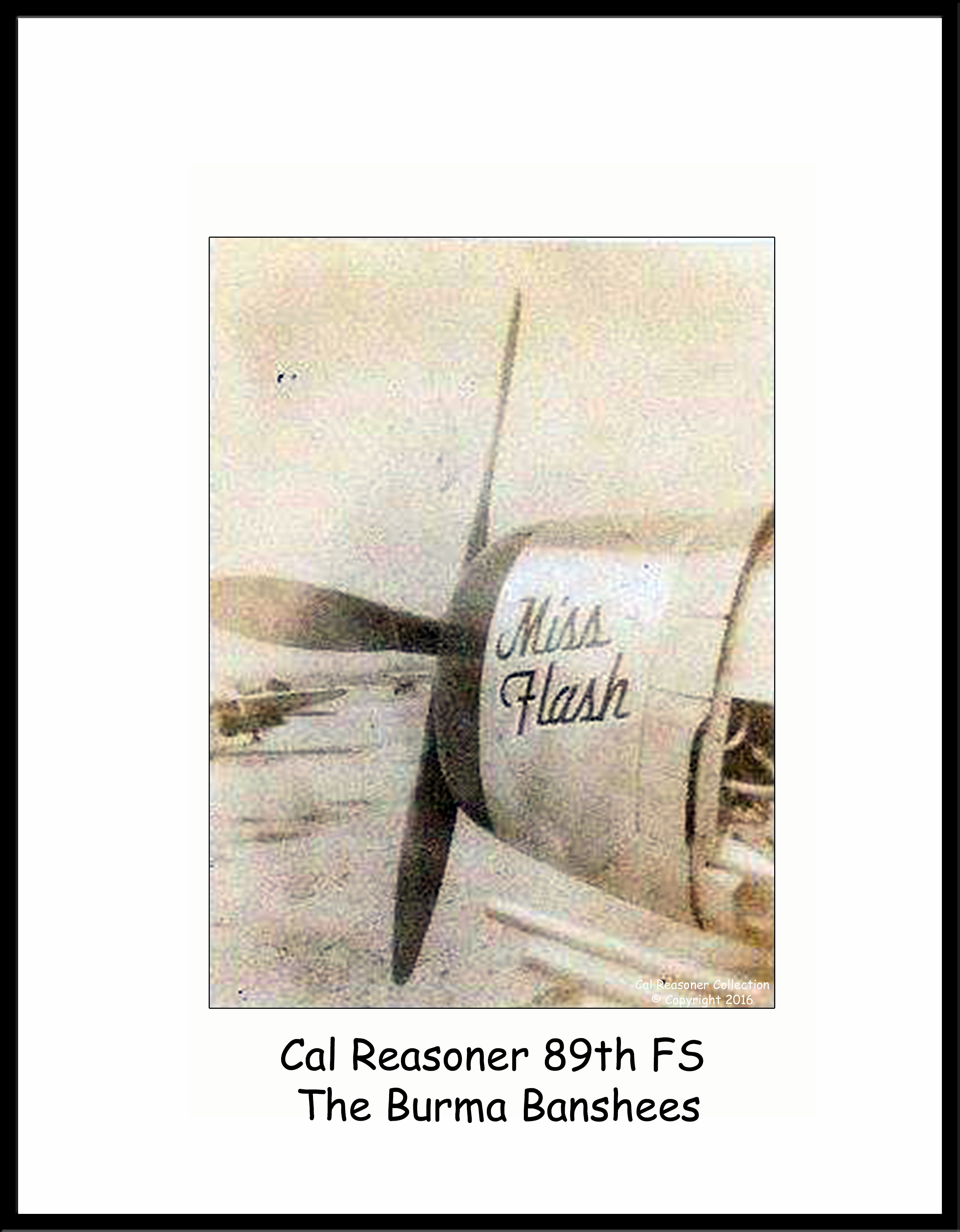 Calvin Reasoner - Burma Banshees